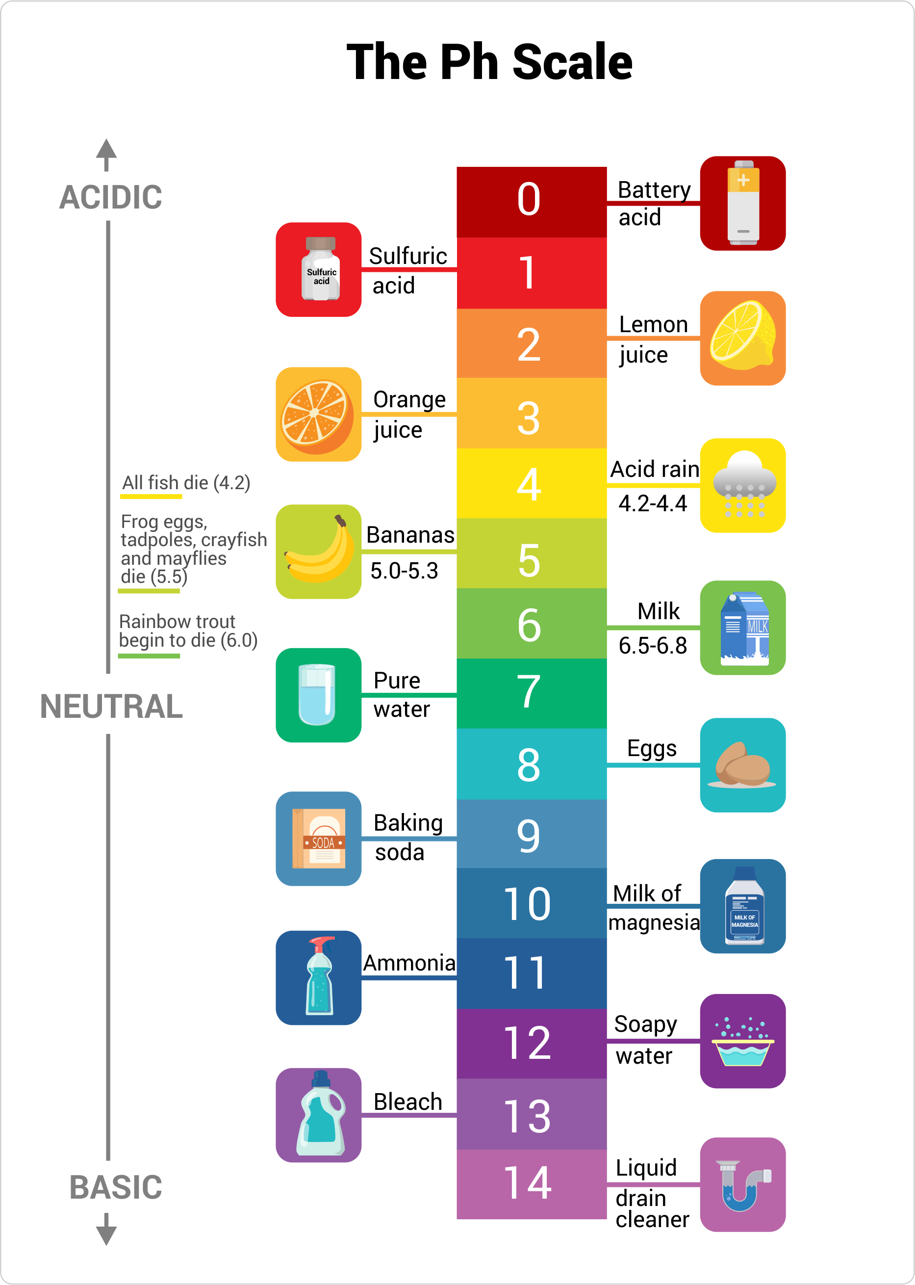 Ph Scale With Pictures