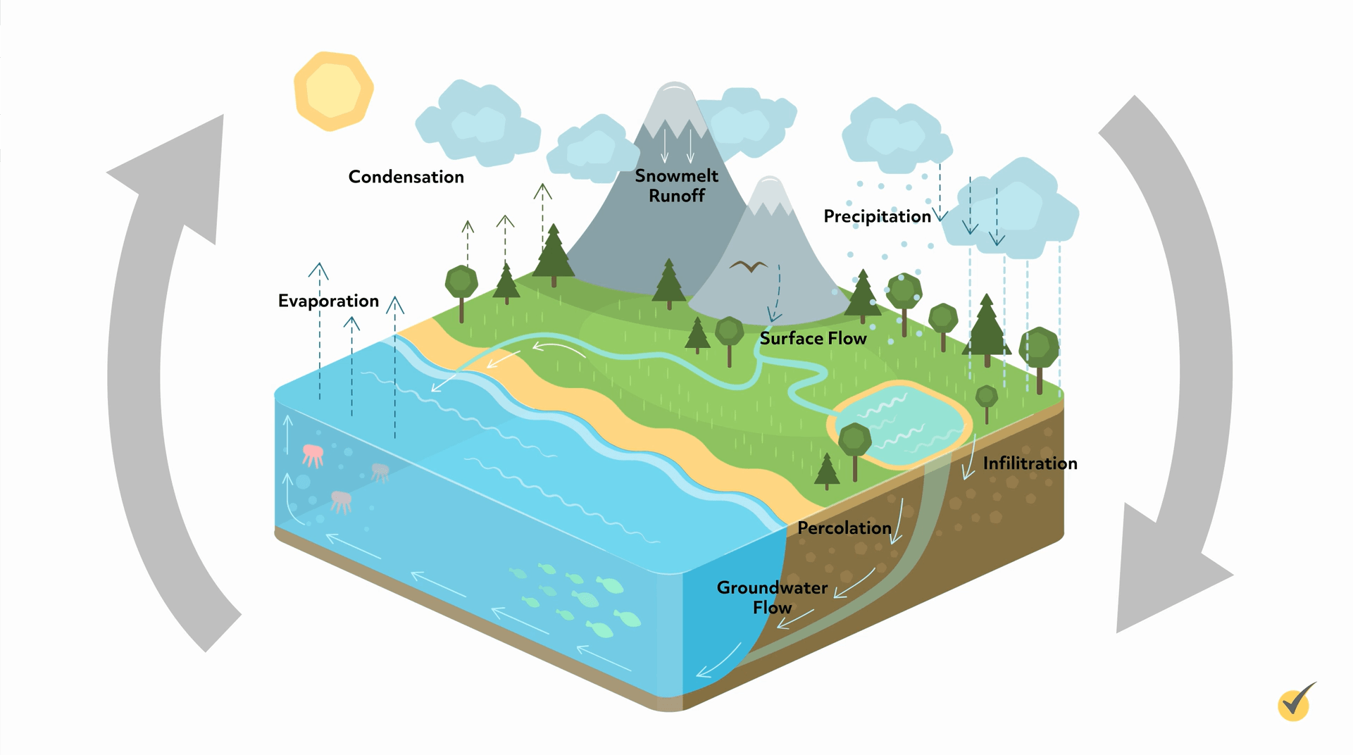 Percolation Water Cycle Examples - vrogue.co Percolation Water Cycle Examples - vrogue.co