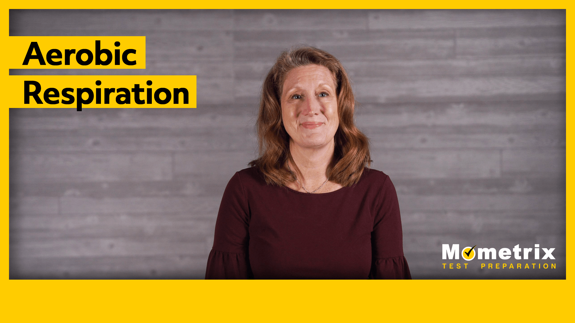 What is Aerobic Respiration? (Video)