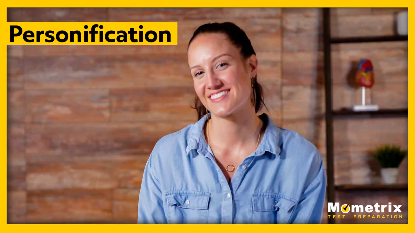 Examples Of Personification In Geico Advertising