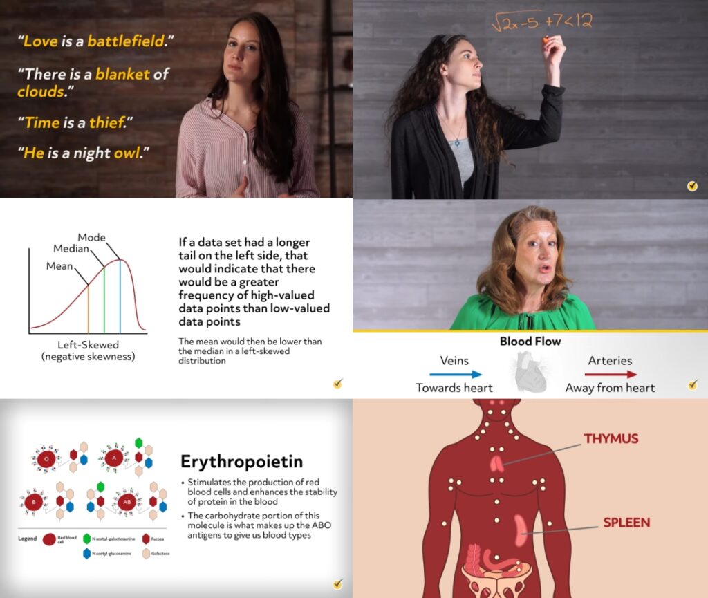 HESI Prep Course (3,200+ Practice Questions) | Mometrix