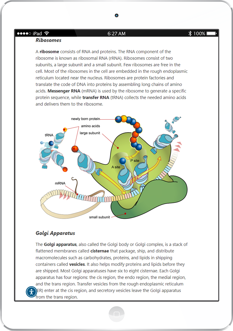 NLN NEX Prep Course | Mometrix Online Courses