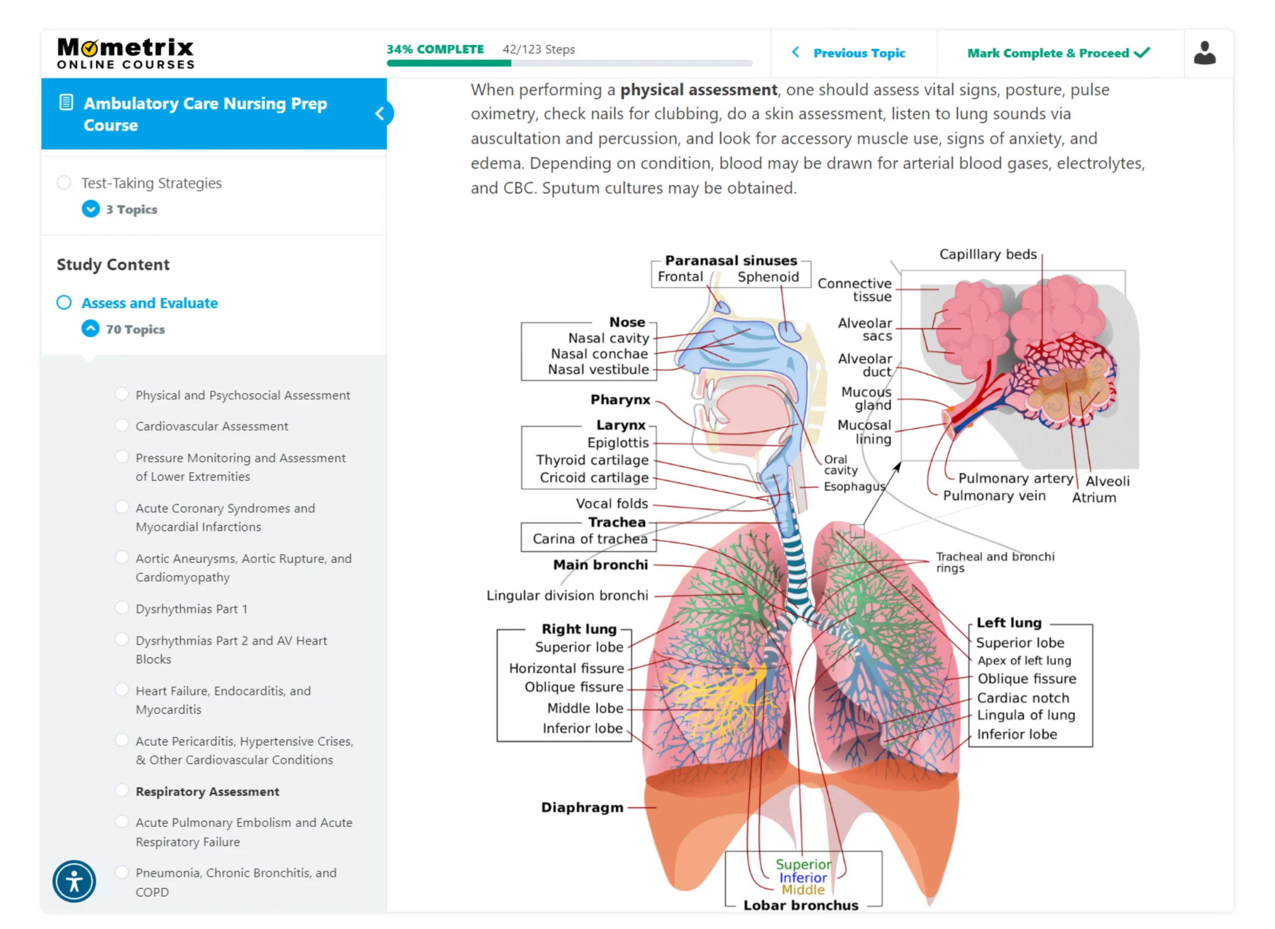Ambulatory Care Nursing Prep Course (600 Practice Questions) | Mometrix