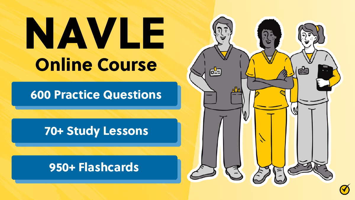 NAVLE® Exam Prep Course (600 Practice Questions) | Mometrix