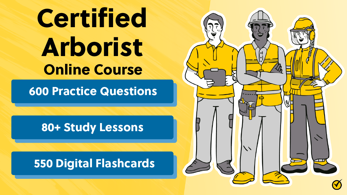 Certified Arborist® Exam Course | (600 Practice Questions) | Mometrix