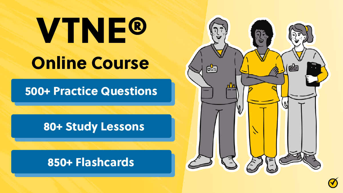 VTNE® Exam Prep Course (500+ Practice Questions) | Mometrix